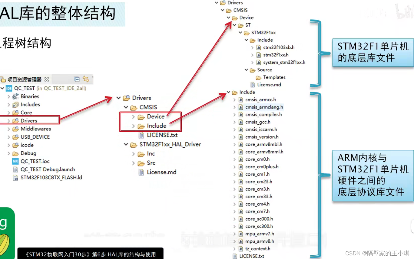 Stm32使用hal库,整体结构和函数原理介绍 Stm32 Hal项目文件夹结构 Csdn博客