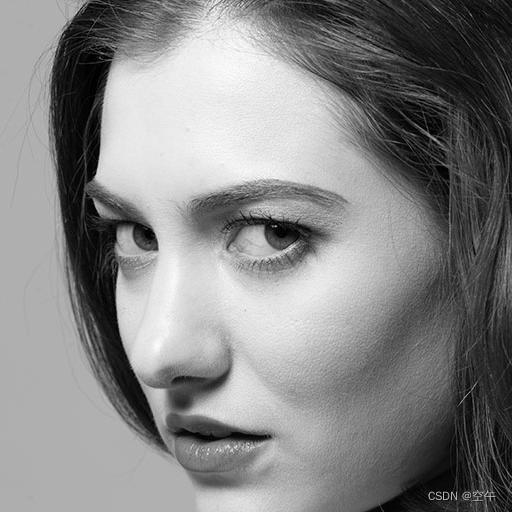 实验项目2 图像采样与量化_256*256下采样为64*64-CSDN博客