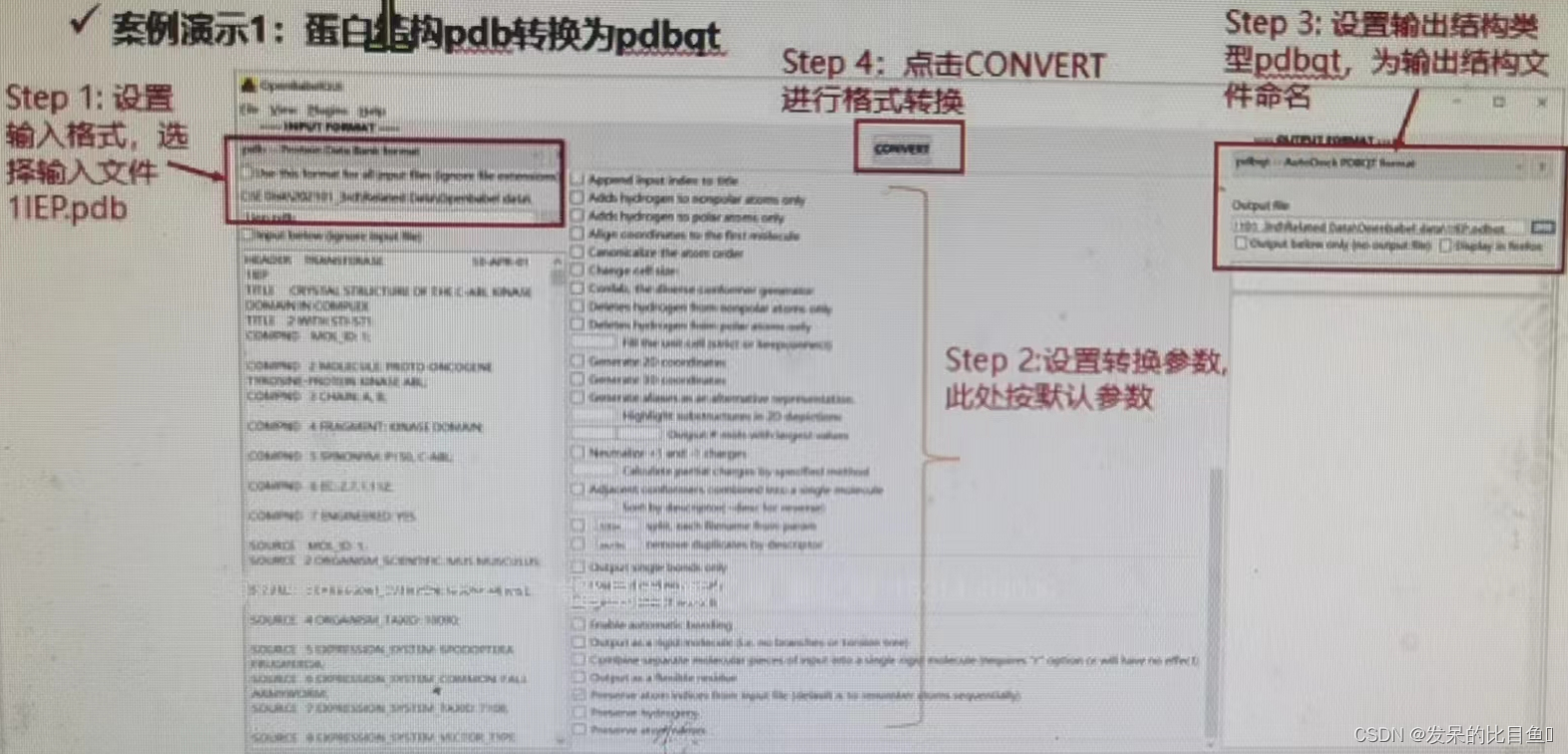 CADD课程学习（9）-- 不同类型分子结构转换(Open Babel)_sdf转化为pdb文件-CSDN博客