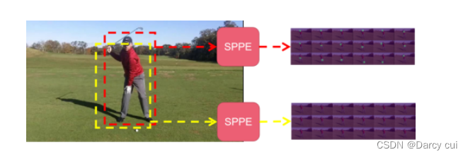 Alphapose算法-CSDN博客