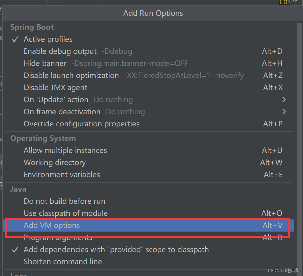 【IDEA 最新版】复制 SpringBoot 项目，搭建集群，为复制好的集群配置新的端口号 （解决没有 VM options 的问题）_springboot vm options-CSDN博客