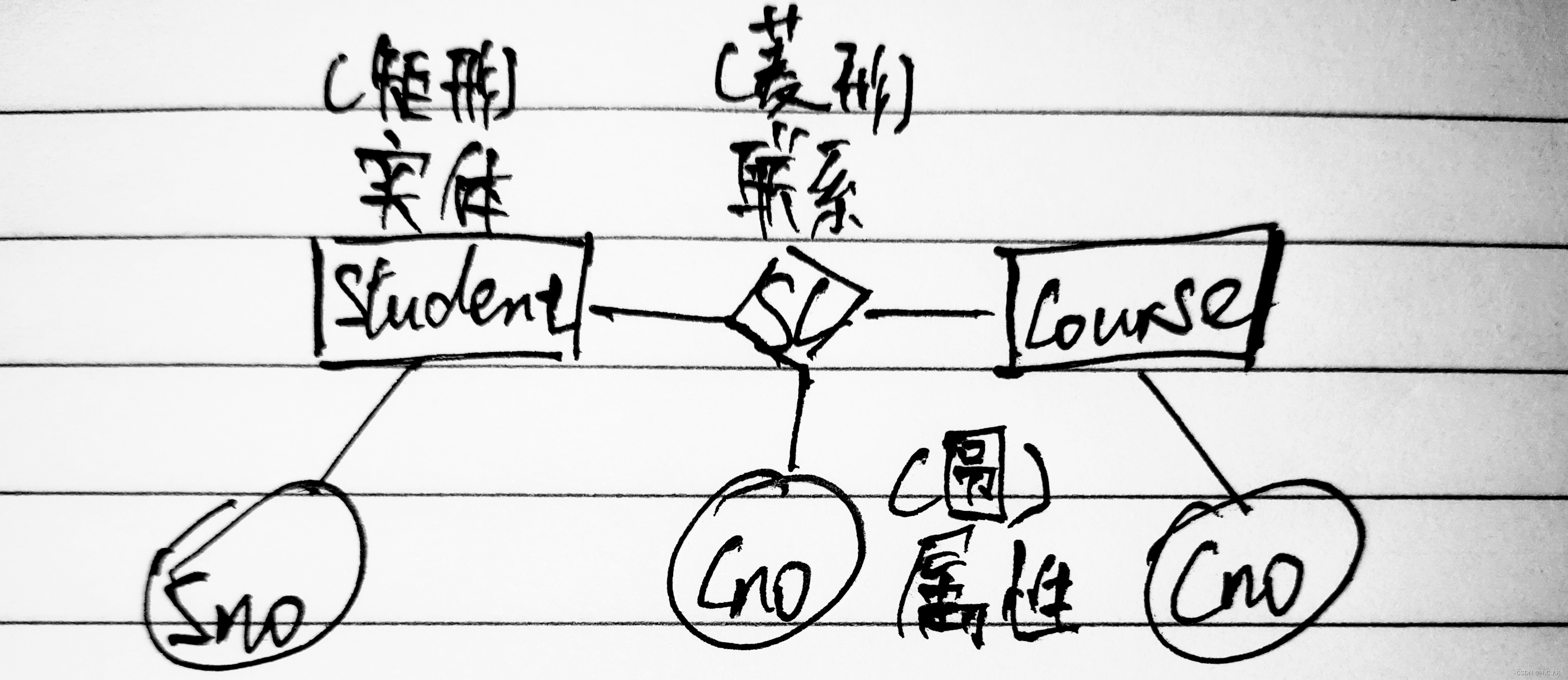 数据库随堂笔记（3）ᝰ关系数据库标准语言SQL-CSDN博客