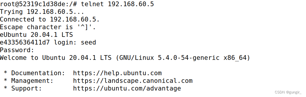 seedlab:Virtual Private Network Lab-CSDN博客