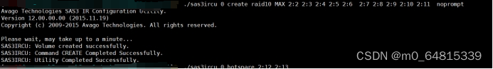 raid级别介绍，storcli64，sas3ircu系统下做raid工具使用。-CSDN博客