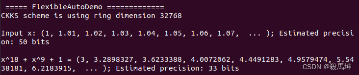 CKKS 精度测试（openFHE和Tenseal库）-CSDN博客