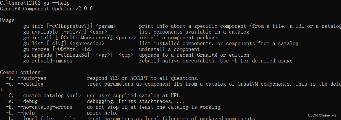 java通过graalvm打包可执行文件(linux,win完整过程)_mine_wz的博客-CSDN博客