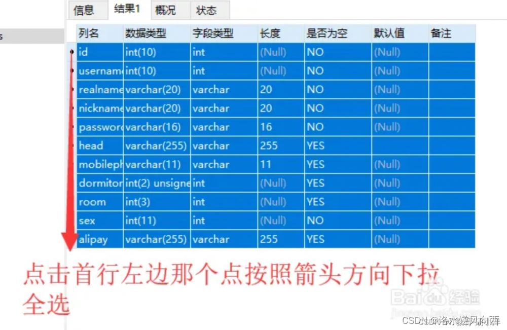 Navicat如何导出Excel格式的表结构_navicat导出表结构成表格-CSDN博客