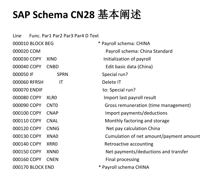 SAP HR模块 PE01 里 SCHEMA CN28(中国支付类型)详解＜转载＞_sap hr schema-CSDN博客