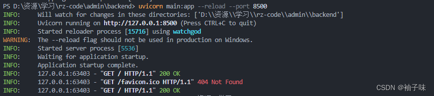 fastspi报错:[WinError 10013] 以一种访问权限不允许的方式做了一个访问套接字的尝试_vnc以一种访问权限不允许的方式做了一个访问-CSDN博客