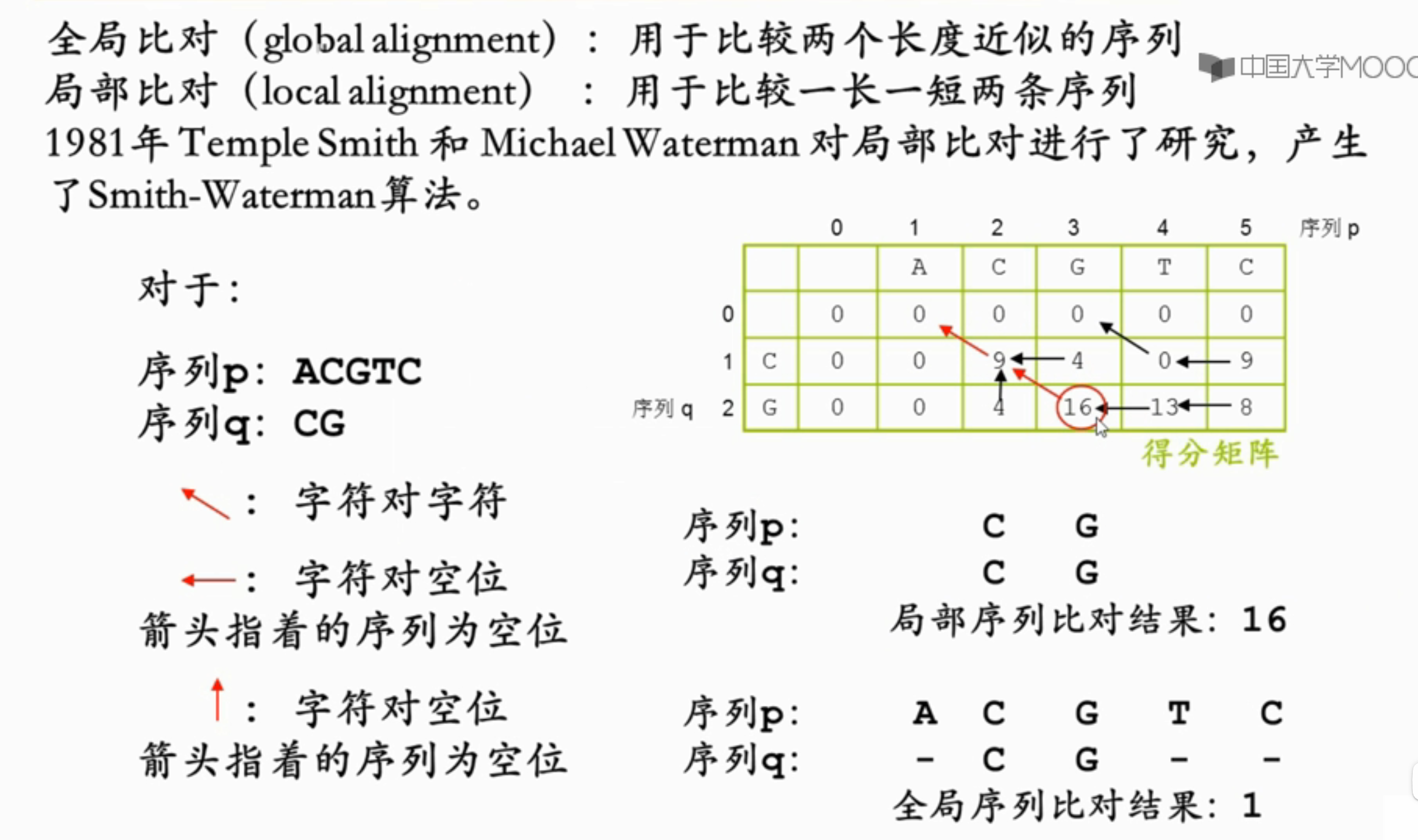【生信】生物序列比对_生物信息学打分矩阵怎么算-CSDN博客