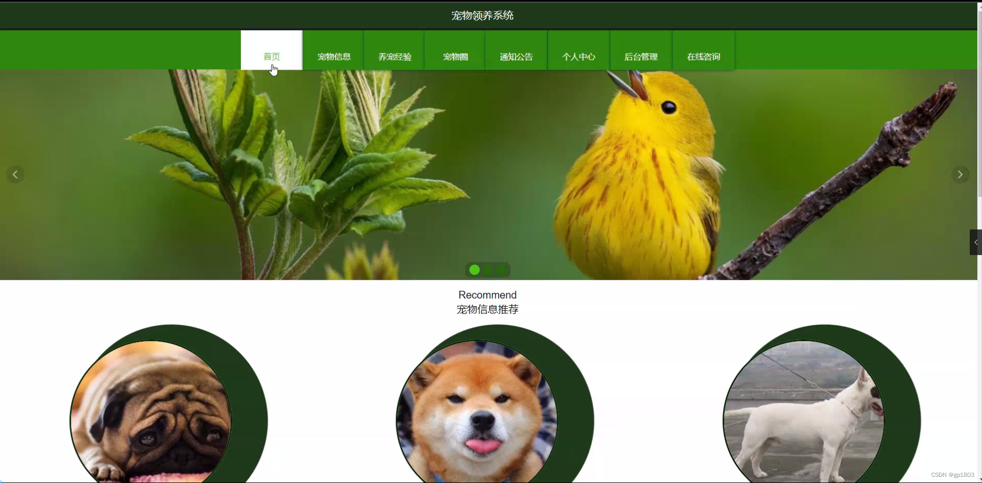 【开题报告】springboot宠物领养系统0e60o计算机毕业设计 Csdn博客 7607