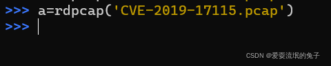 scapy学习笔记_rdpcap函数读入的数据是什么样的格式_爱耍流氓的兔子的博客-CSDN博客