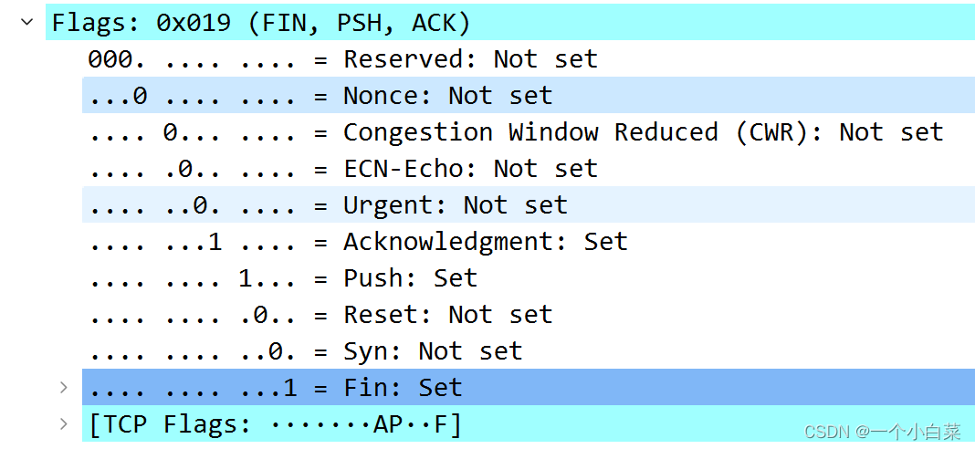 python+scapy进行修改pcap报文_scapy修改接收的包再重新发出去-CSDN博客