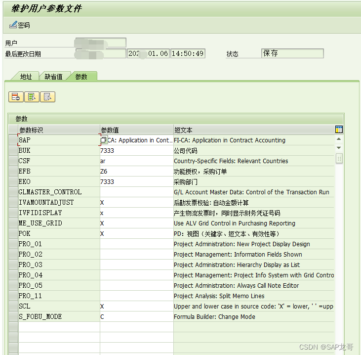 SAP-基础设置-SU3_sap su3-CSDN博客