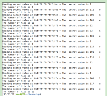 从入门到入土：[SEED-Lab]-幽灵攻击|Spectre Attack Lab|详细说明|实验步骤|实验截图_seedubuntu20.04中的xxs攻击实验-CSDN博客
