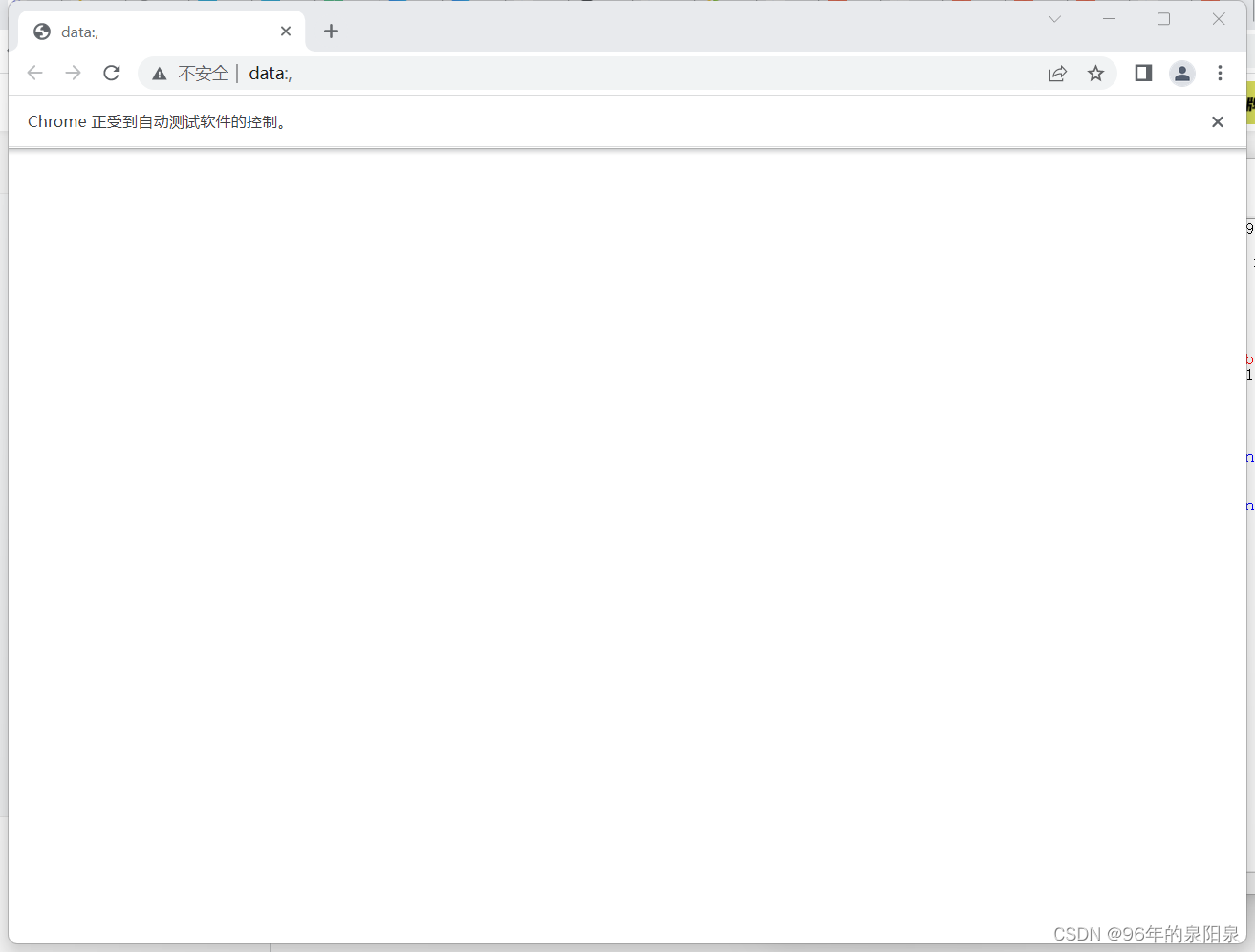Python Selenium Python操作谷歌浏览器环境配置 Python谷歌配置 Csdn博客