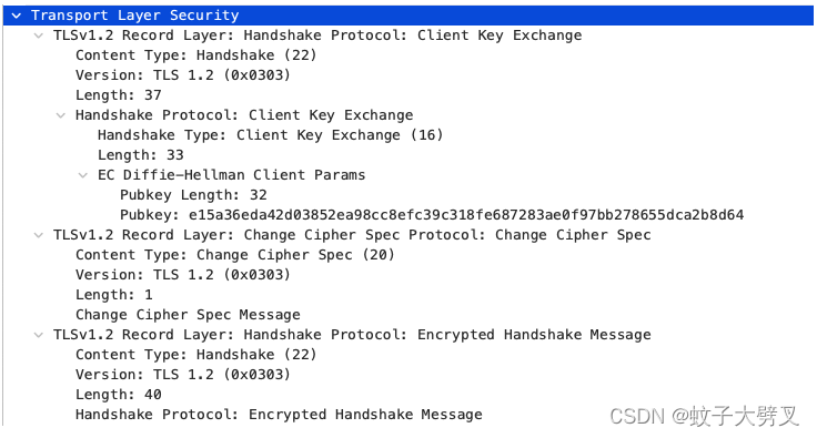 SSL/TLS 1.2技术介绍_rfc tls-CSDN博客