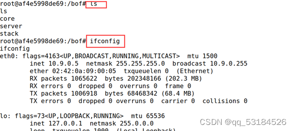 SEED-缓冲区溢出攻击_seed 缓冲区溢出-CSDN博客
