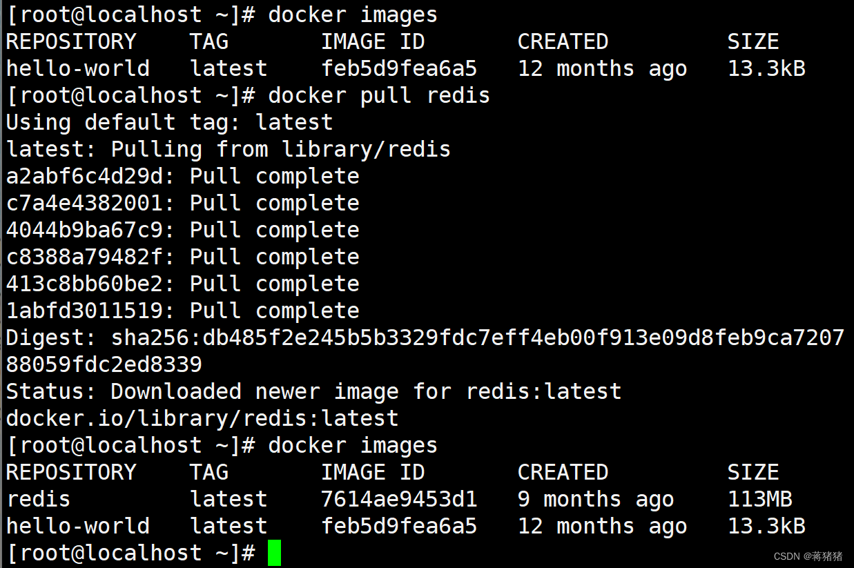docker常用命令_查找本地hello-world镜像,并只显示镜像的id-CSDN博客