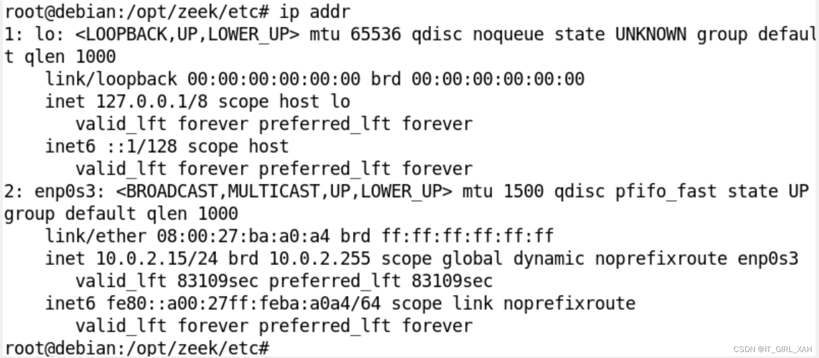 Linux (Debian 11) ifconfig命令不能用怎么办_debian ifconfig命令找不到-CSDN博客