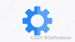 SAP RZ10/RZ11参数解析-CSDN博客