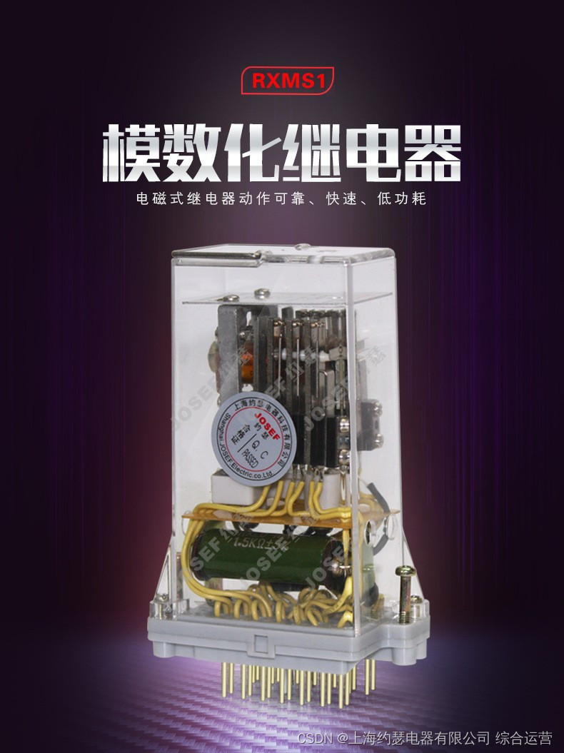 RXMS1-RK216463快速跳闸中间继电器_继电器s154616是啥-CSDN博客