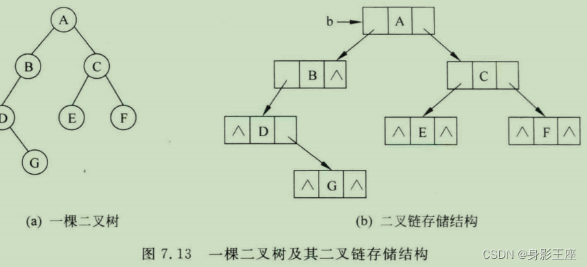 数据结构第七章1知识总结当t使用孩子兄弟链来存储时t的空指针域个 Csdn博客