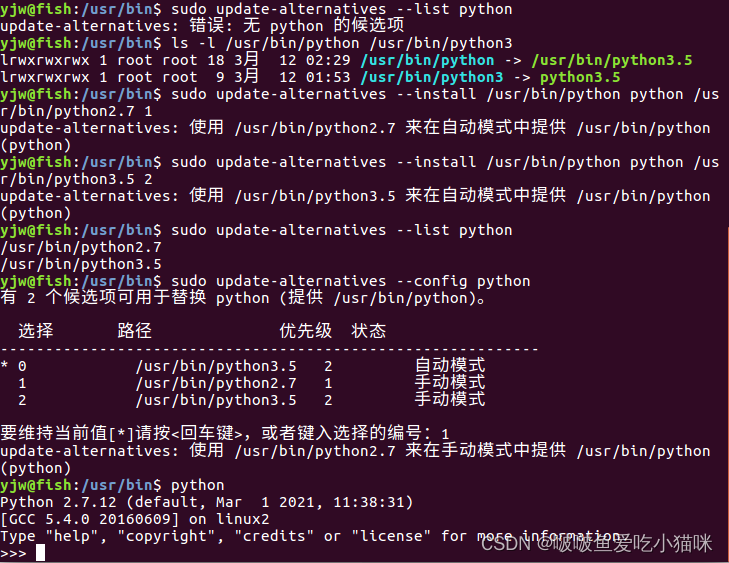python版本不对导致roscore出现问题_roscore使用的python环境-CSDN博客