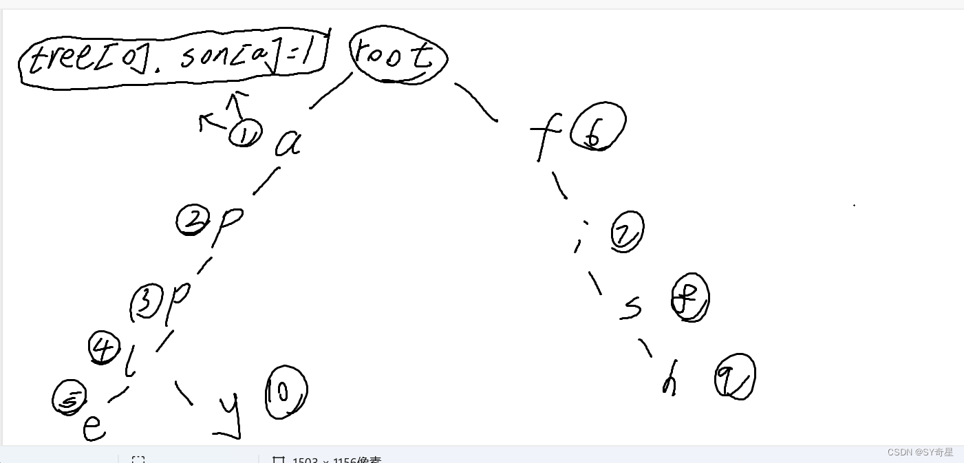 【字典树】模板 讲解 字典树csdn Csdn博客