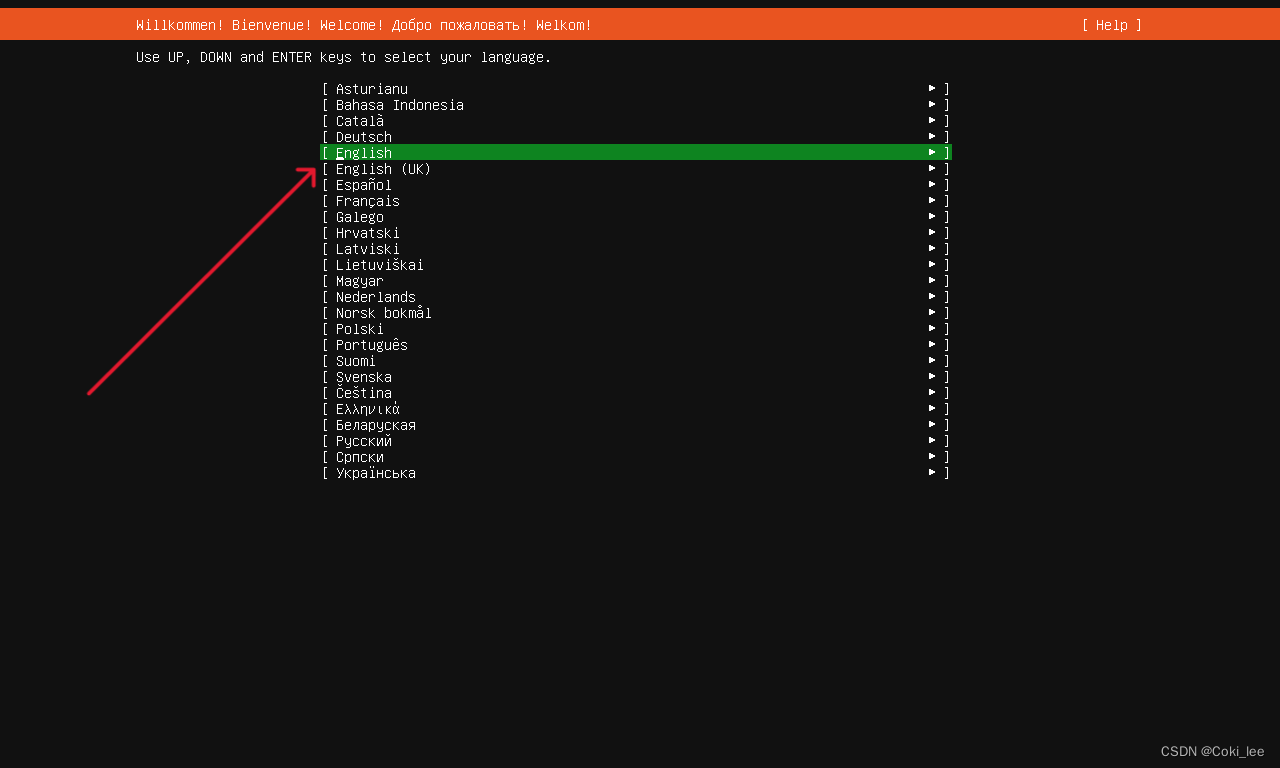【小白必看】Windows安装Ubuntu2204 server 安装教程 （图文最新教程）_ubuntu server安装教程-CSDN博客