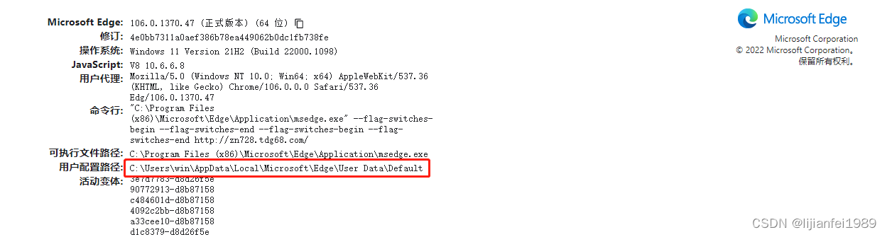 Electron 配置 Vue Devtoolselectron Devtools Installer Csdn博客 7222