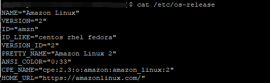 AWS服务器查看Linux OS系统版本信息的方法_aws esc 查看系统版本-CSDN博客