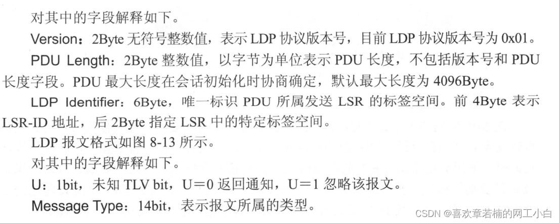 Mpls Ldp Ldp协议报文长度 Csdn博客