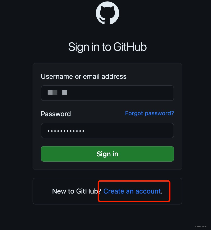 Github Codespace与vs Code联合使用方法介绍(以复现hypatia为例) Csdn博客