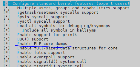 Linux 内核中的coredump设置_linux打开coredump要开什么内核选项-CSDN博客