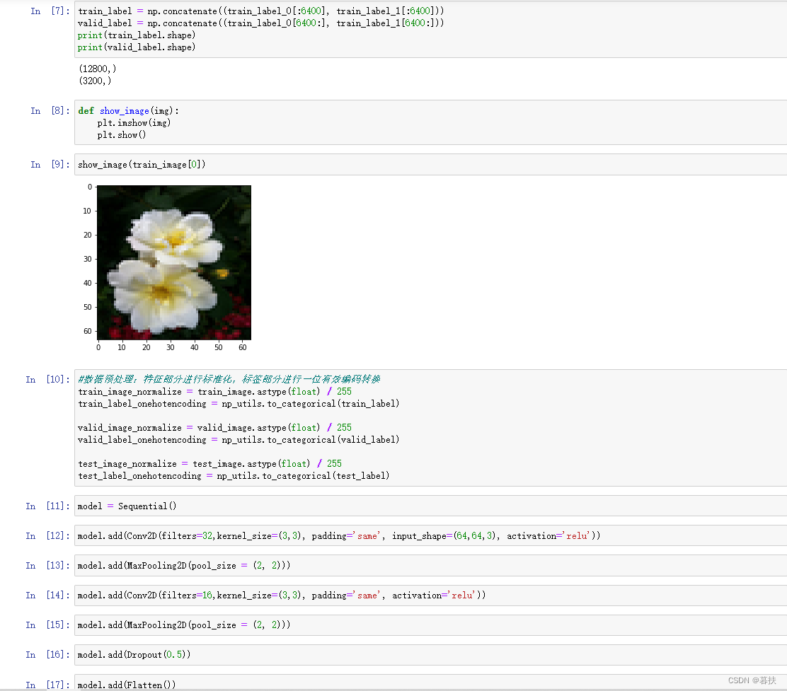 基于深度学习的玫瑰向日葵分类系统_train(8000)-CSDN博客