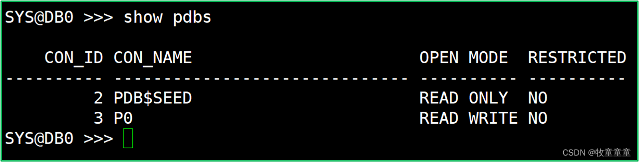 Oracle PDB-CSDN博客
