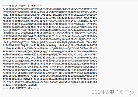 ABAP 实现RSA签名_abap + rsa-CSDN博客