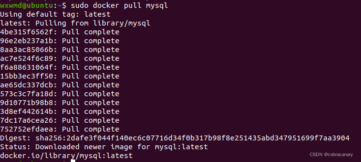 Docker修改mysql中的my Cnf Docker 的mysql如何修改my Cnf Csdn博客