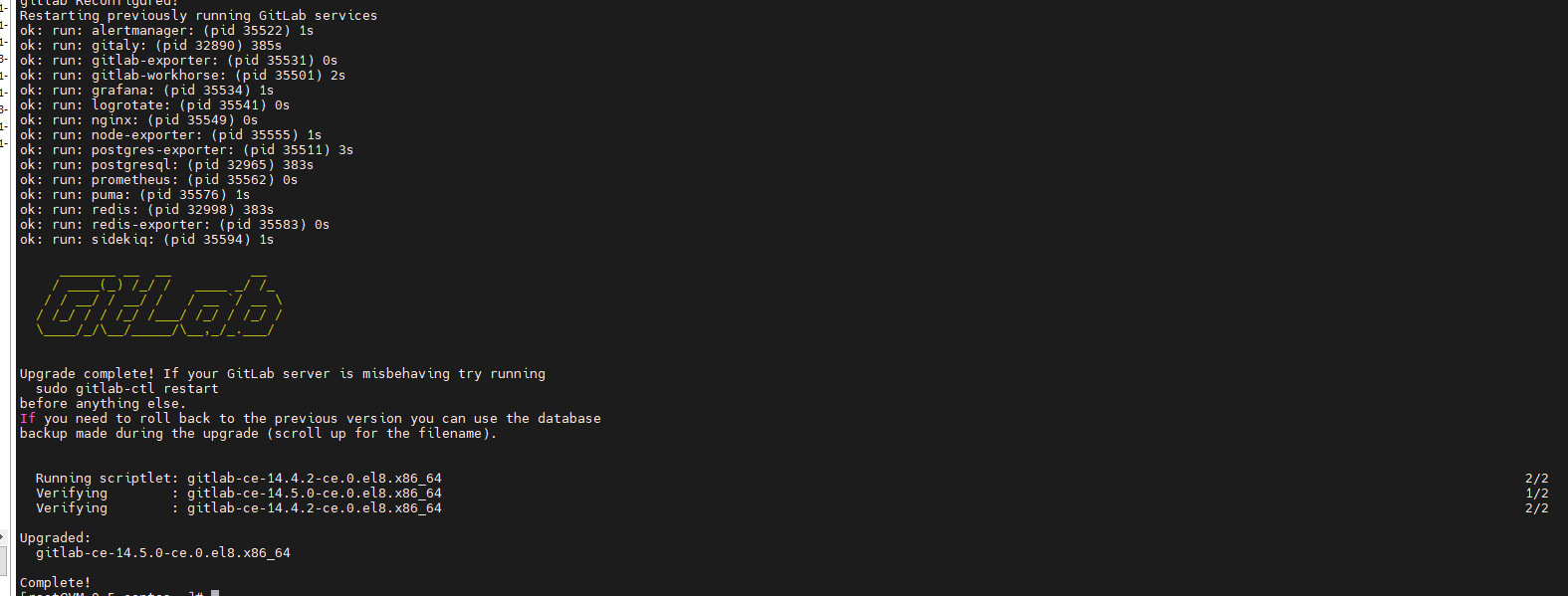 Gitlab Runner_gitlab runner和gitlab不是在一台服务器-CSDN博客