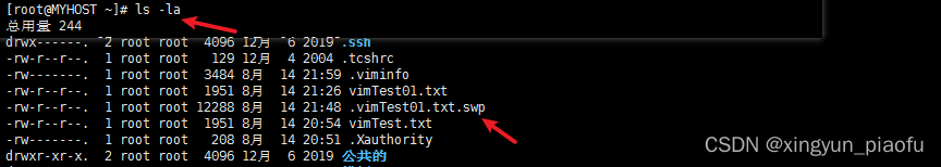 linux vim编辑文件非正常关闭产生的交换文件(.swp)解决方案_linux系统中用vim编辑时提示发现交换文件 ".wendang.txt.swp" 所有者: ro-CSDN博客