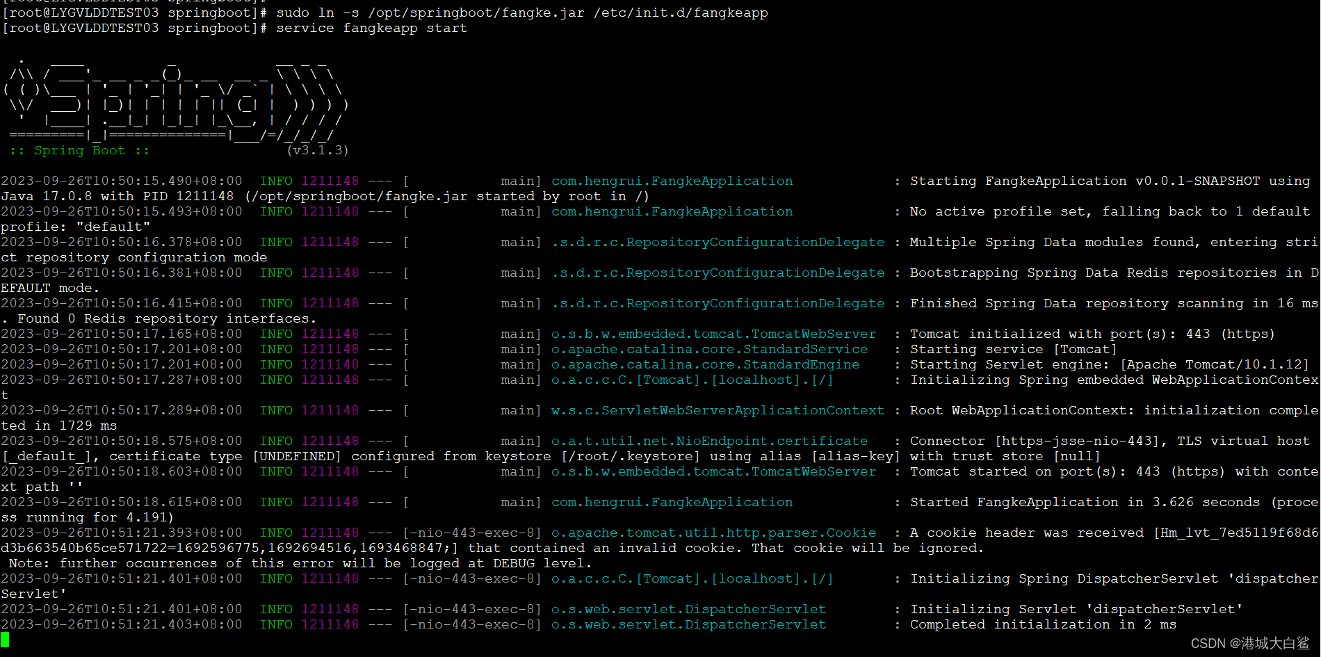 Springboot部署二 Linux服务器部署新买的linux服务器怎么部署运行springboot Csdn博客