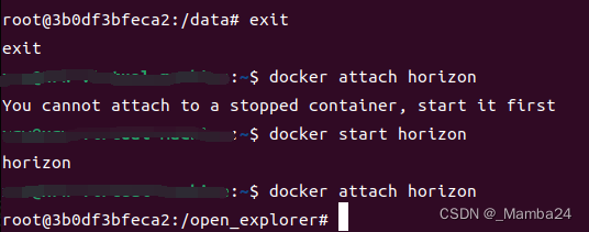 Ubuntu配置地平线提供的docker开发环境并挂载至开发板_地平线ddk-CSDN博客