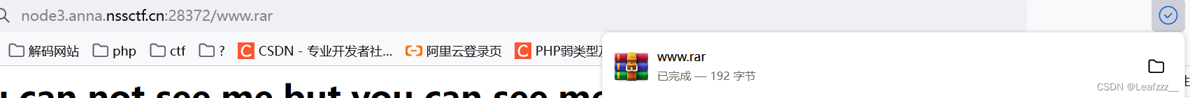 [GDOUCTF 2023] ——web方向全Write up_$web1 == 114514 && $web1 != $web2 && $web2 == 1145-CSDN博客