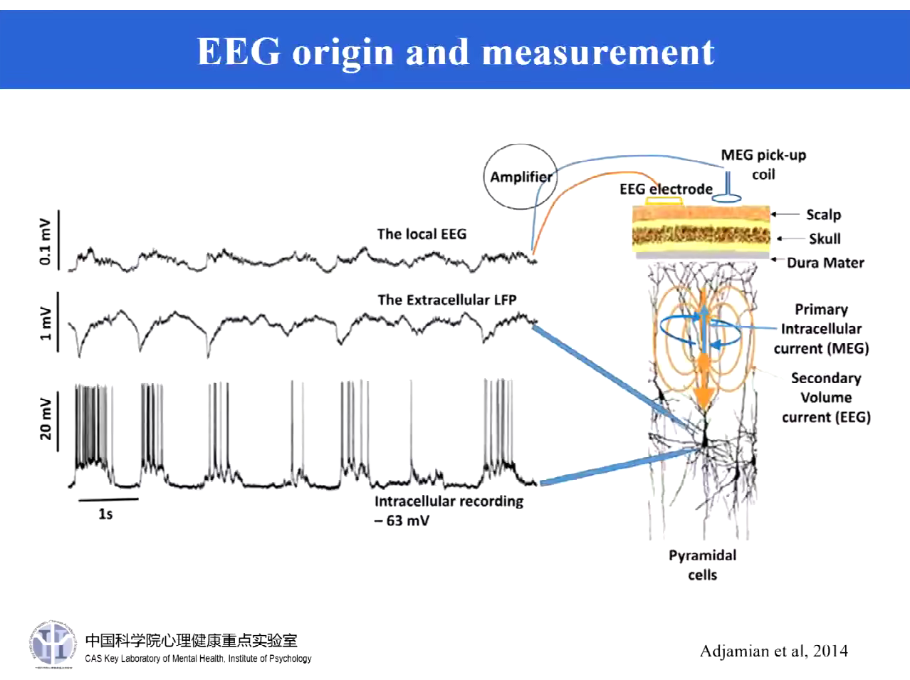 脑电数据分析方法与应用实例简介-EEG Processing and Feature 1-CSDN博客