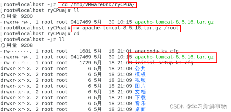 LNMT架构-CSDN博客