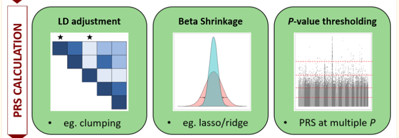 一张图介绍PRS的计算步骤_prs模型-CSDN博客