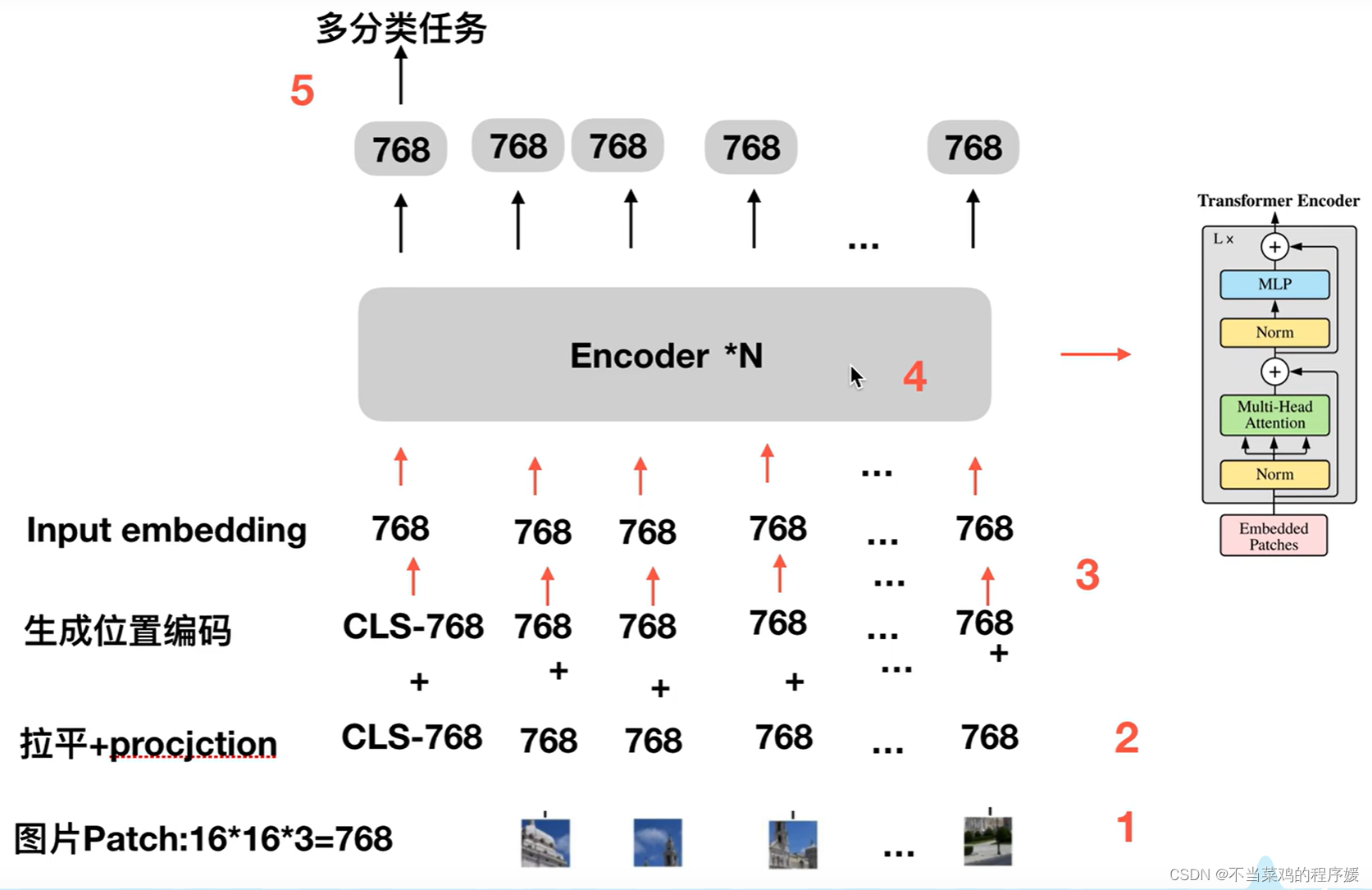 transformer和VIT_vit cls-CSDN博客
