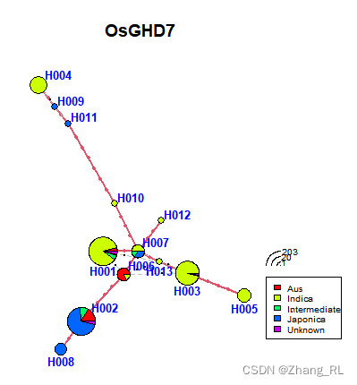 geneHapR做基因单倍型分析-CSDN博客